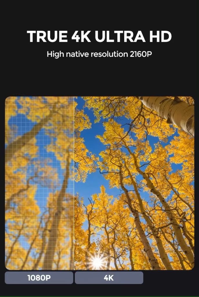 Pool-Plus | AVA Projectors Native 4K UHD